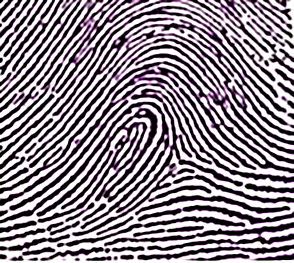 Principles of Forensic Science | Forensic Files